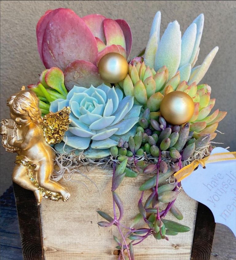 Creative Succulent Arrangements Ideas and Display Tips - Mycozylive.com