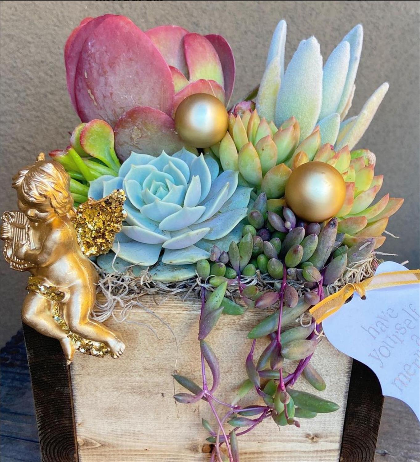 Creative Succulent Arrangements Ideas and Display Tips - Mycozylive.com