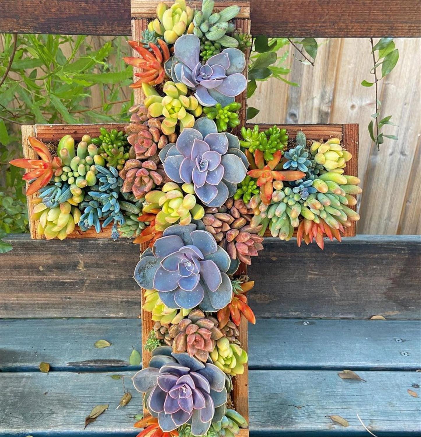 Creative Succulent Arrangements Ideas and Display Tips - Mycozylive.com