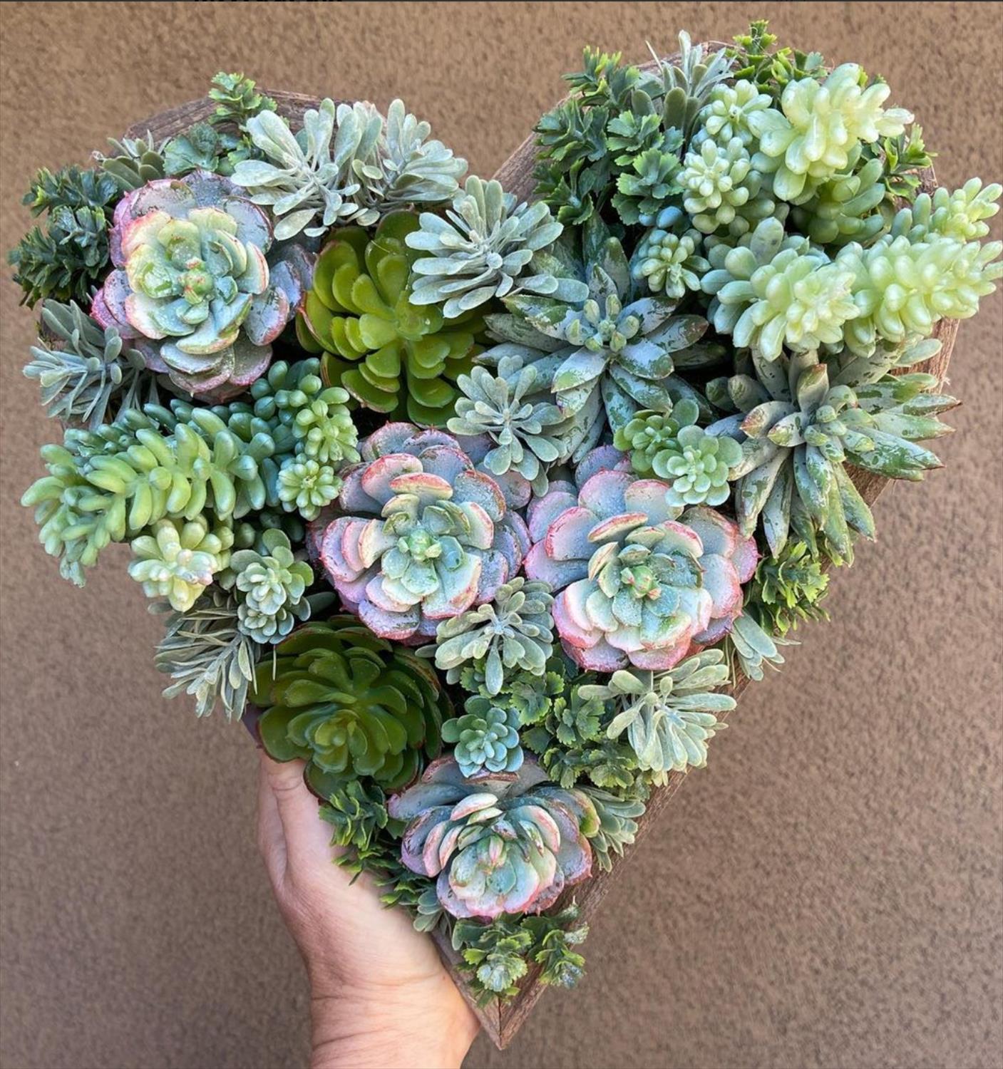 Creative Succulent Arrangements Ideas and Display Tips - Mycozylive.com