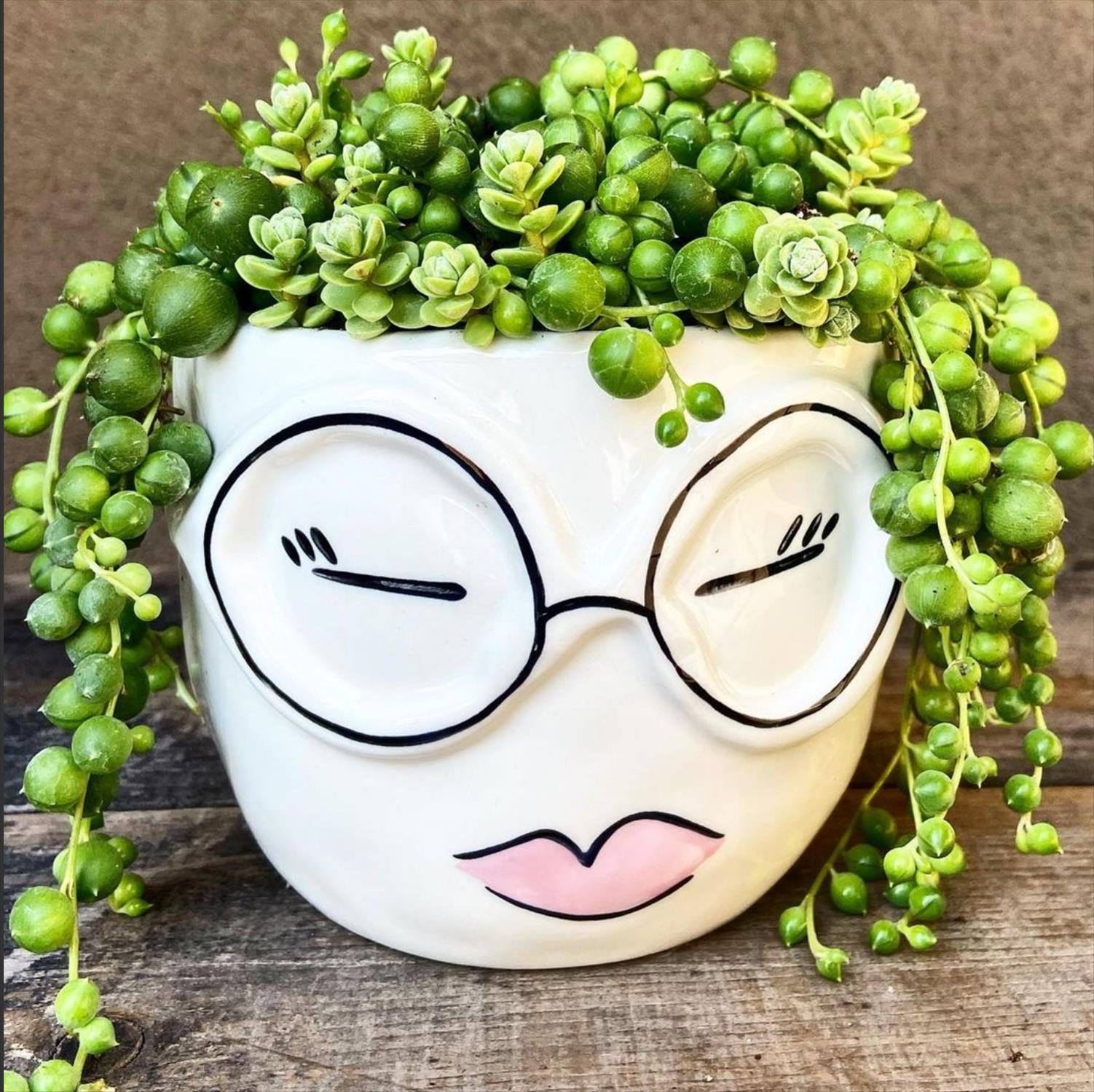Creative Succulent Arrangements Ideas and Display Tips - Mycozylive.com