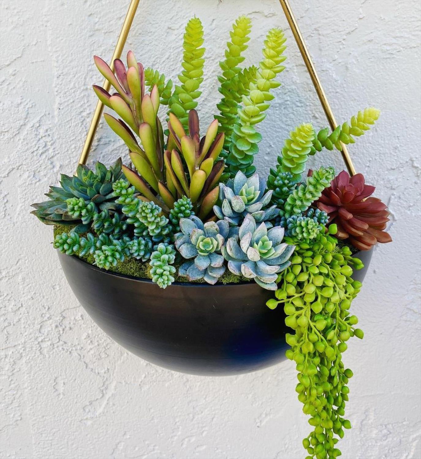 Creative Succulent Arrangements Ideas and Display Tips - Mycozylive.com