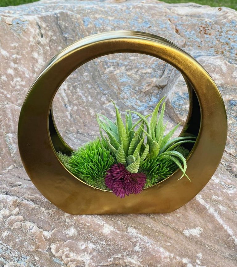Creative Succulent Arrangements Ideas and Display Tips - Mycozylive.com