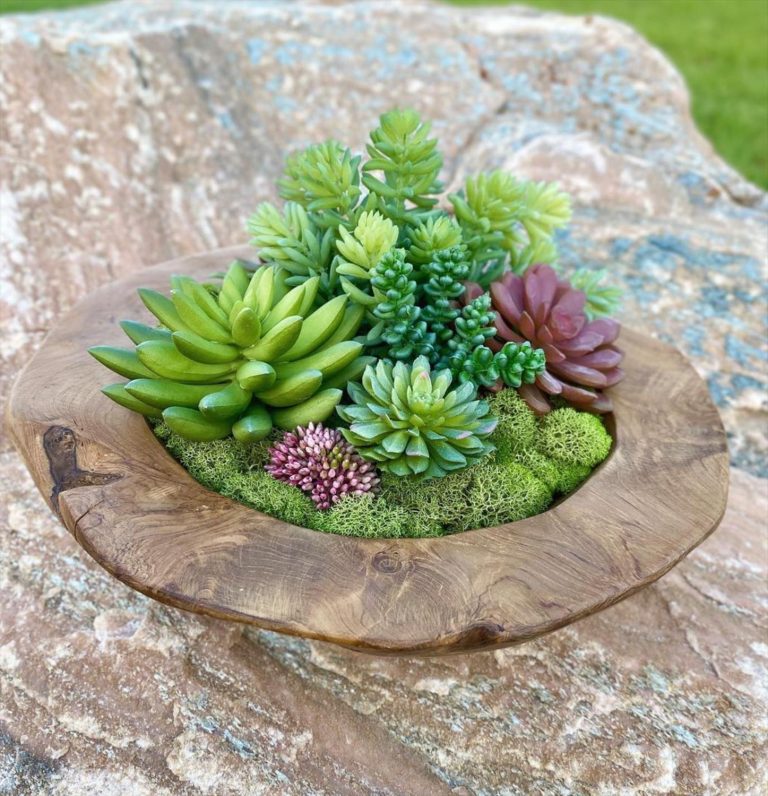 Creative Succulent Arrangements Ideas and Display Tips - Mycozylive.com