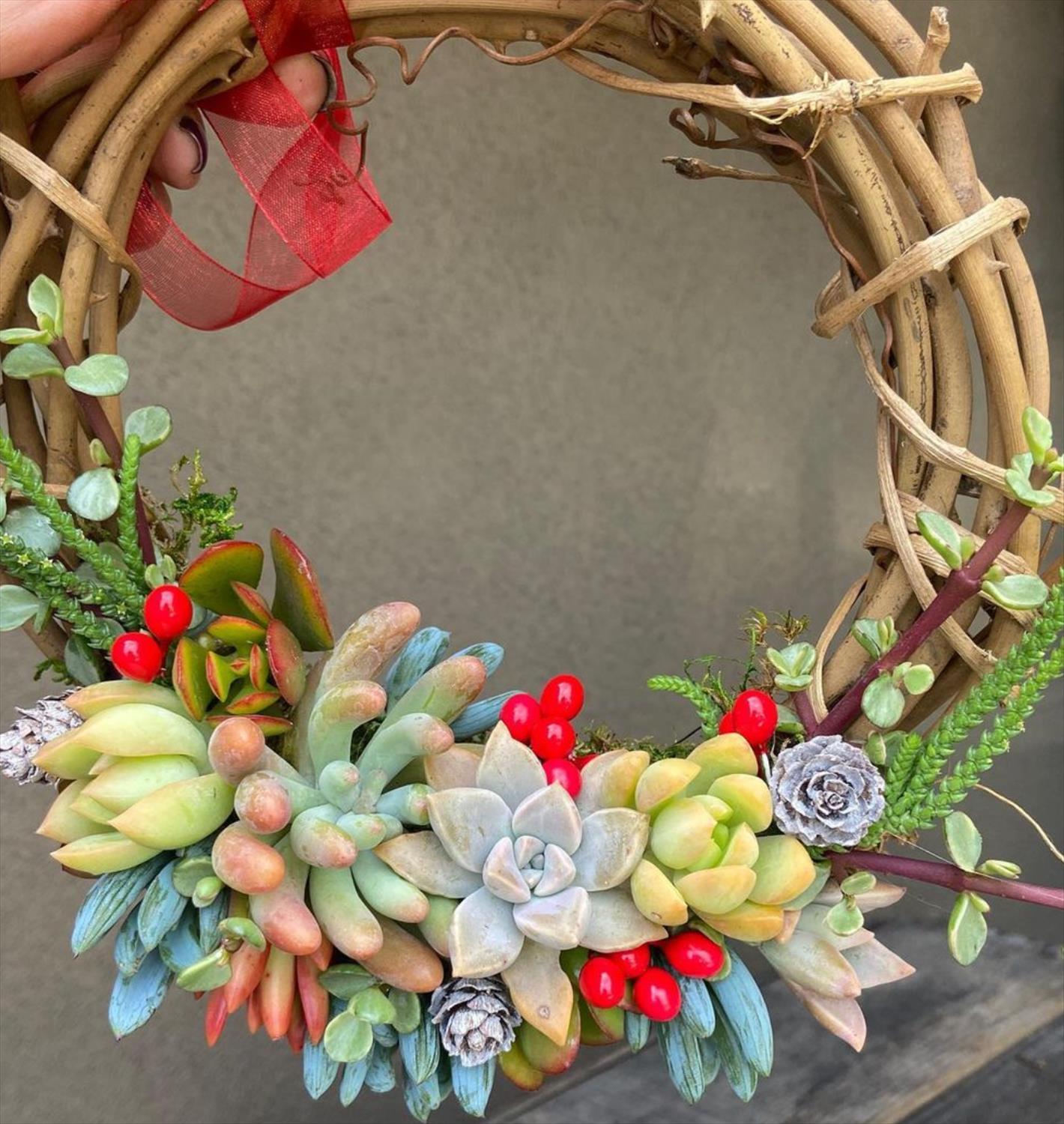 Creative Succulent Arrangements Ideas and Display Tips - Mycozylive.com