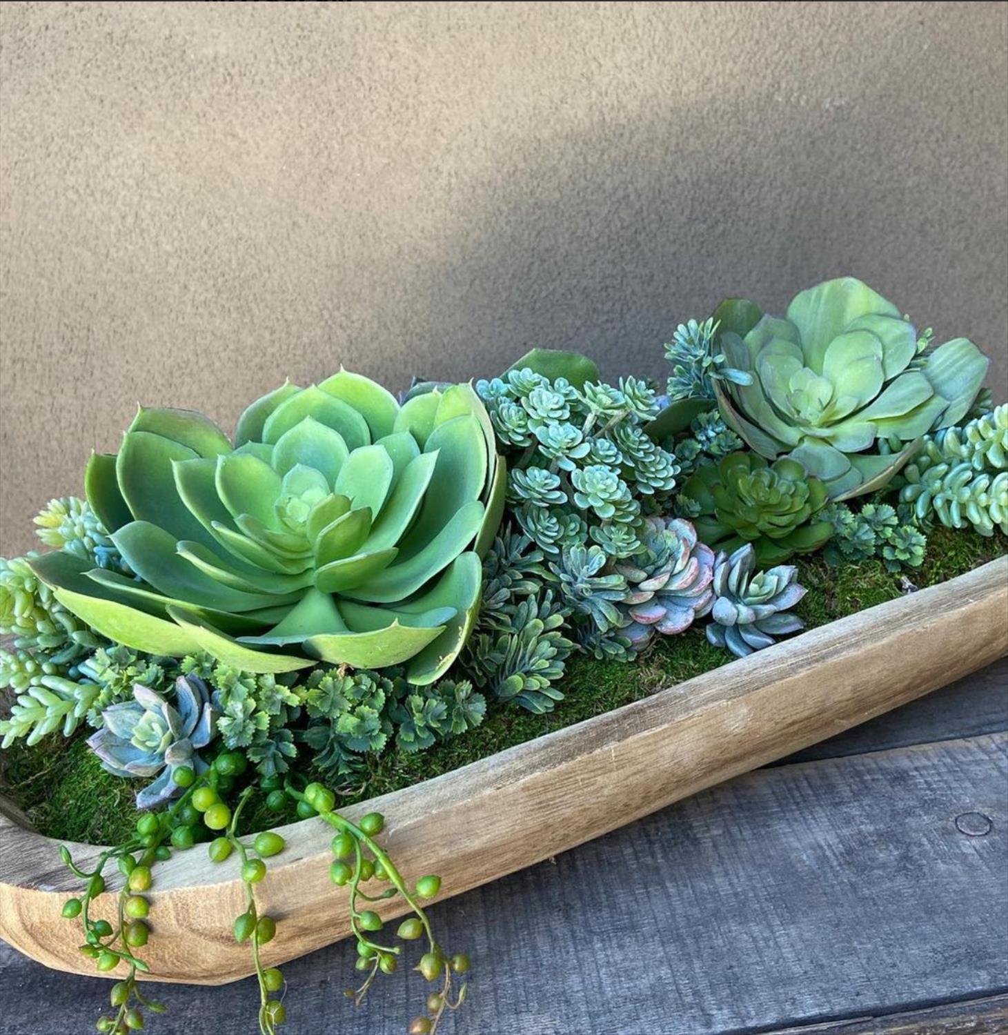 Creative Succulent Arrangements Ideas and Display Tips - Mycozylive.com