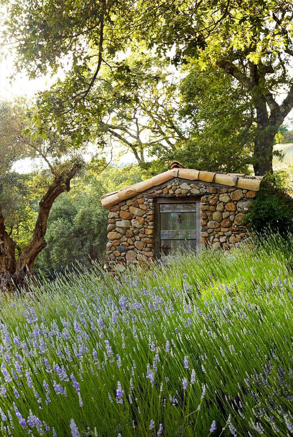 36 Best Backyard Landscaping Ideas for A Ultimate Outdoor Living Space