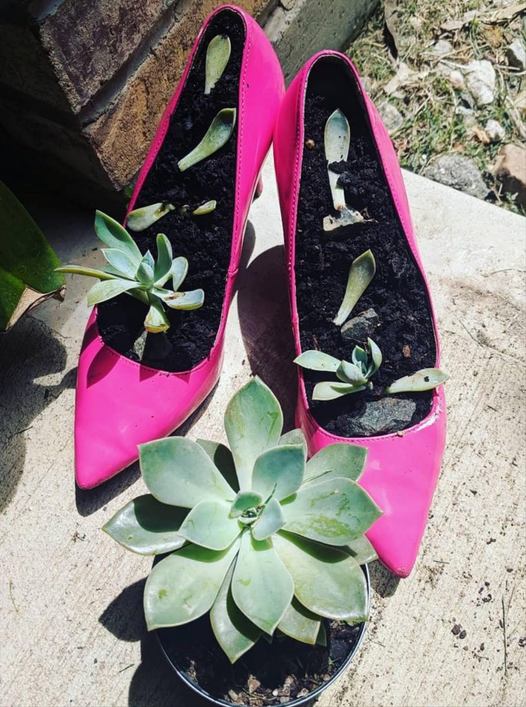30 DIY plants in shoes: Recycled Footwear makes a Great Garden Planter