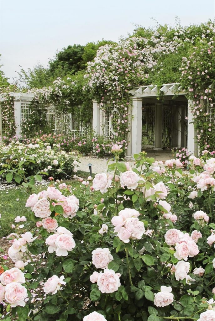 36 Best Backyard Landscaping Ideas for A Ultimate Outdoor Living Space
