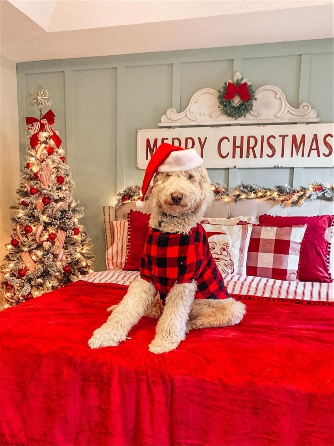 43 Merry Christmas decoration ideas to rock this Winter - Mycozylive.com