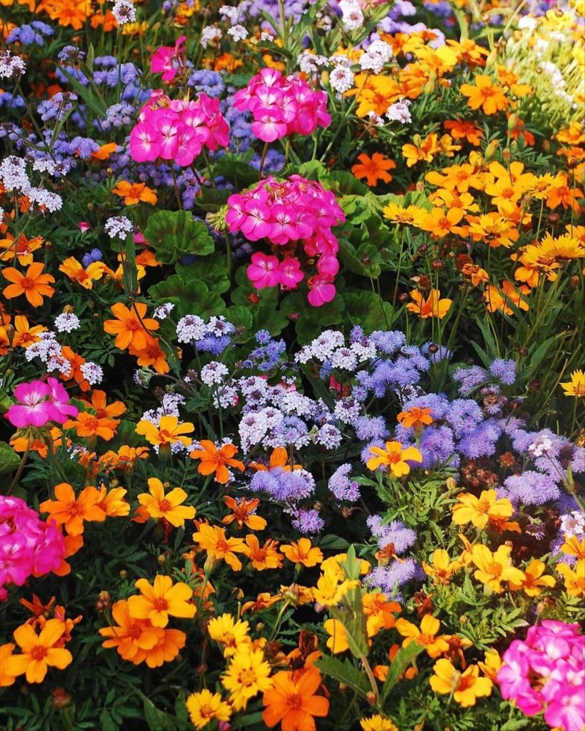 26 Fresh Spring Garden decoration ideas and tips - Mycozylive.com