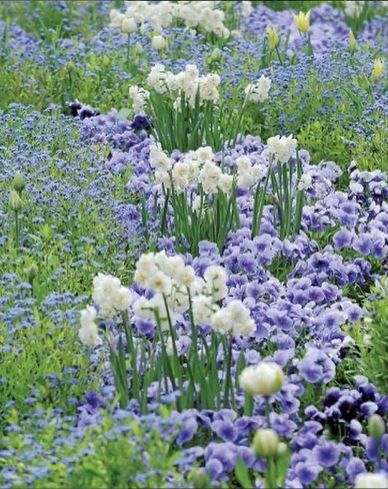 26 Fresh Spring Garden decoration ideas and tips - Mycozylive.com