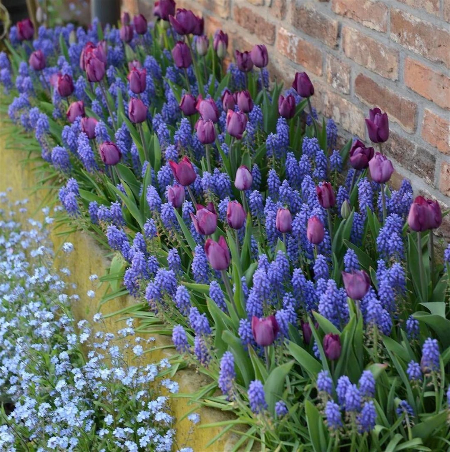 26 Fresh Spring Garden decoration ideas and tips - Mycozylive.com