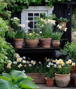 26 Fresh Spring Garden decoration ideas and tips - Mycozylive.com