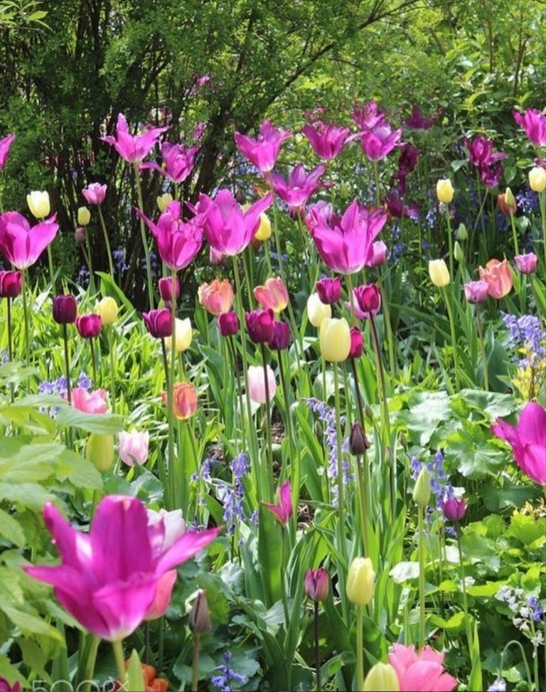 26 Fresh Spring Garden decoration ideas and tips - Mycozylive.com